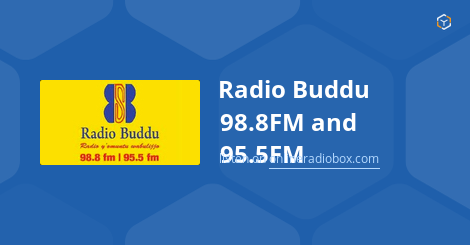 Radio Buddu 98.8FM and 95.5FM Listen Live - Masaka, Uganda | Online Radio Box